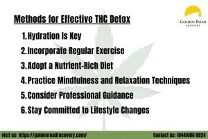 Thc detox How Long Does It Take To Detox From Marijuana?